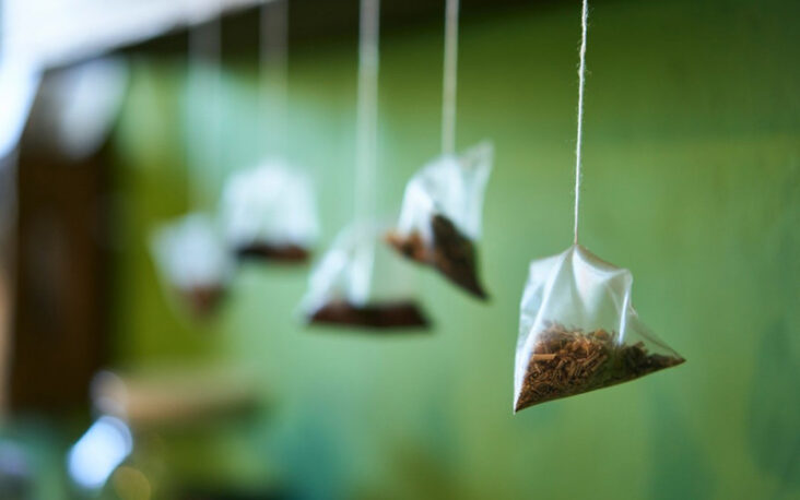 8 Ways to Make Tea Bags Useful in Your Daily Life – Foroveta