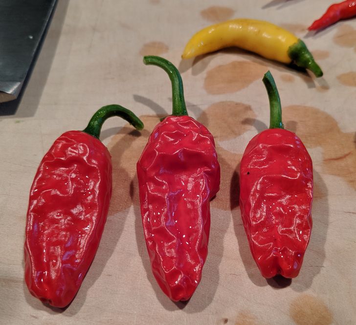 7 Foods that Become Dangerous When Reheated In a Microwave – Foroveta