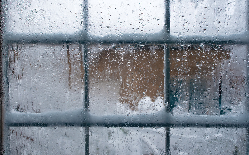 10 Dangerous Mistakes You Need To Avoid During A Hurricane – Foroveta