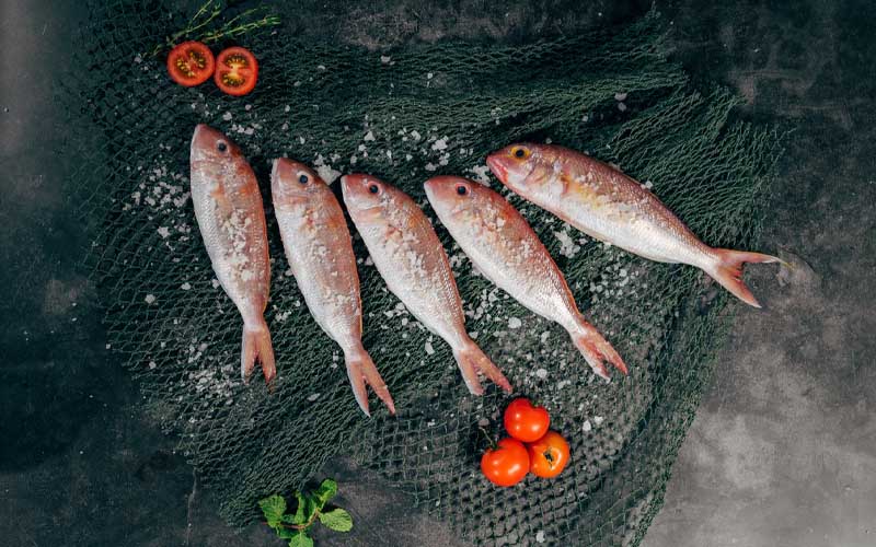 8 Signs You’re Not Buying Very Good Fish – Foroveta