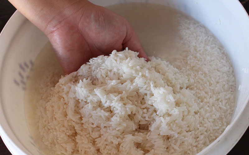 Rice Water: The Ultimate Beauty Secret of Japanese Women – Foroveta